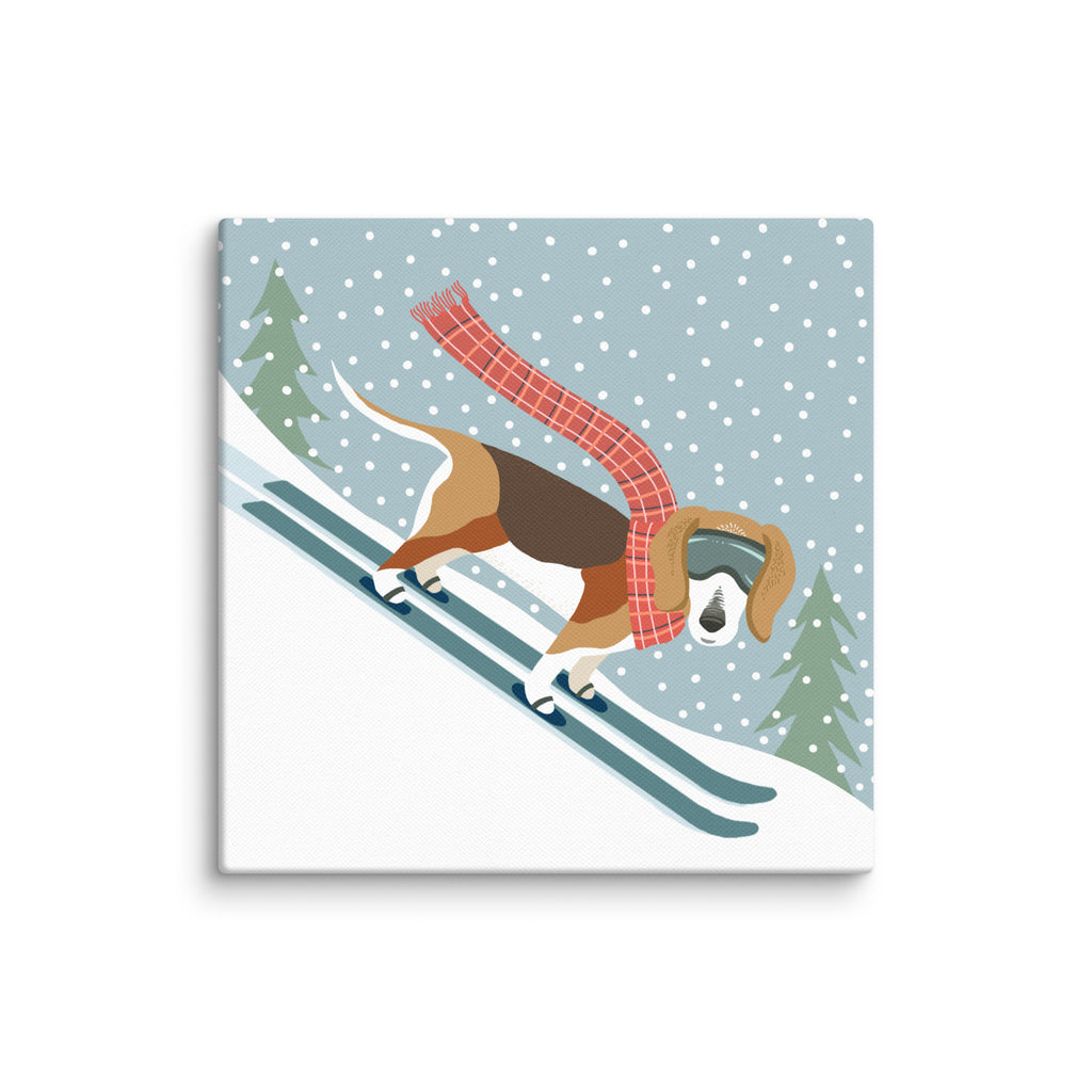 Beagle Skiing
